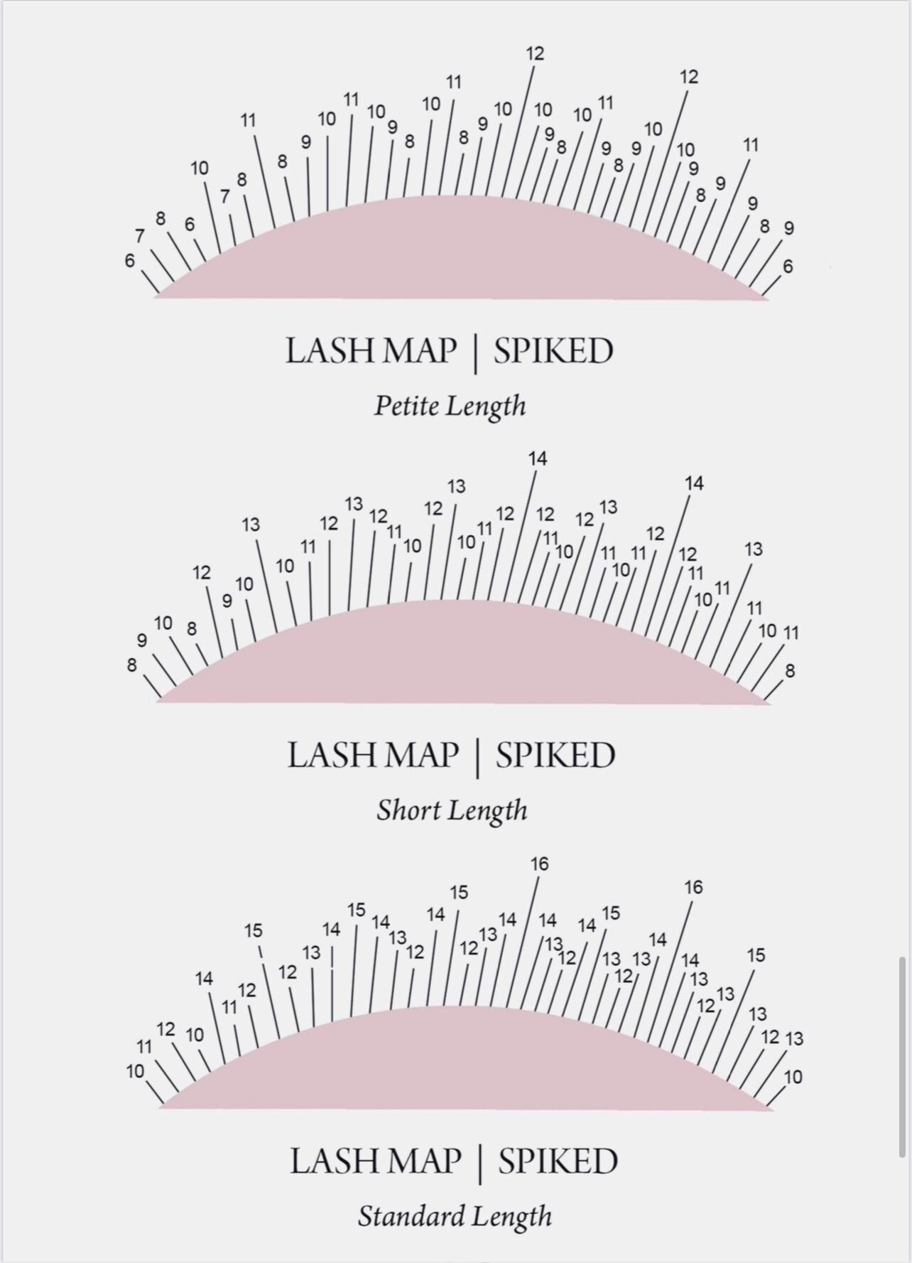 Professional Lash Maps Form for Precision Eyelash Extensions - Lash ...