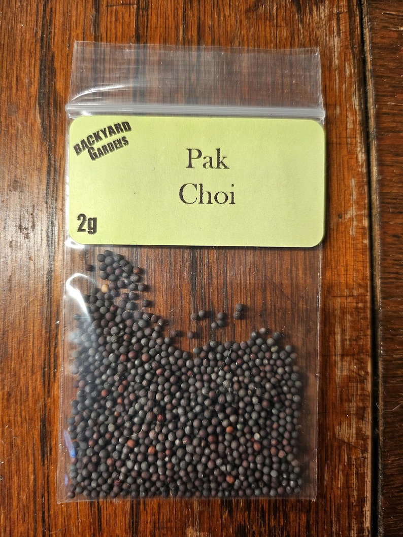 Pak Choi Seeds (bok Choy) Seeds - Etsy