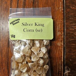 Silver King Corn Seeds - Etsy