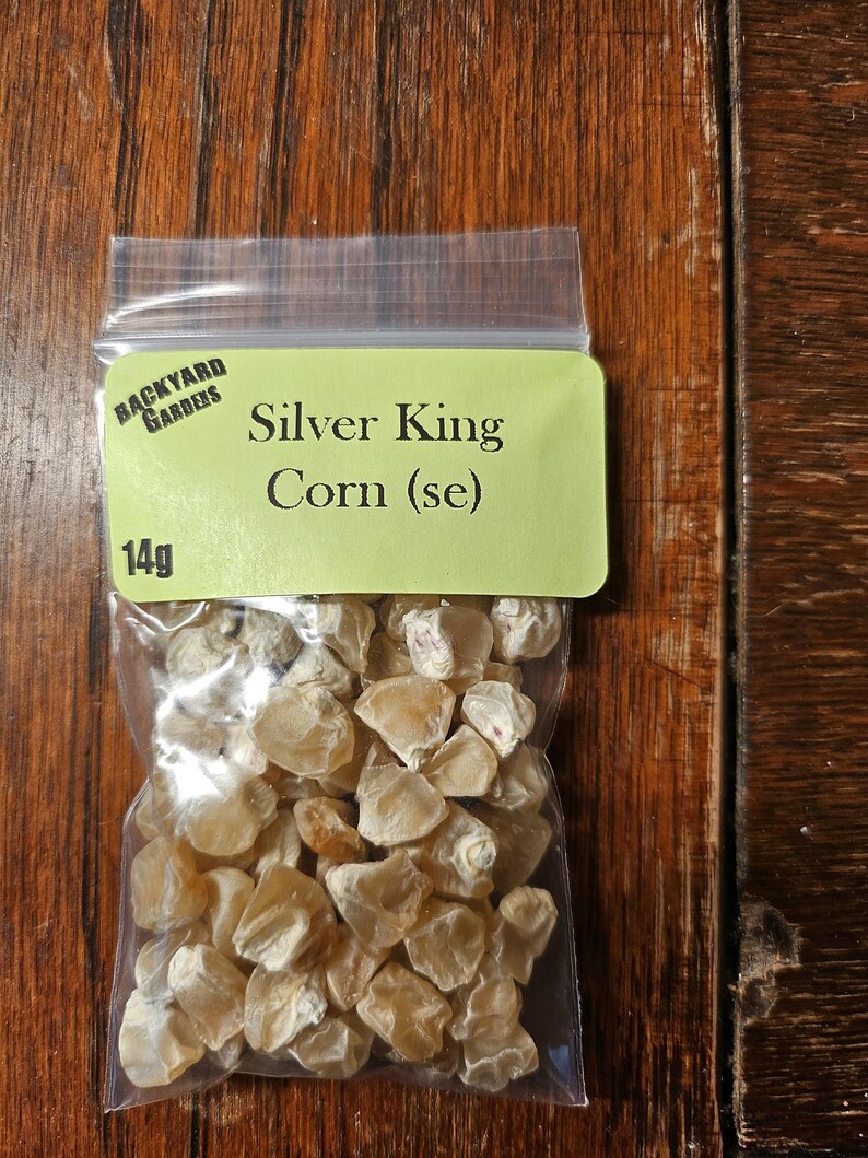 Silver King Corn Seeds - Etsy