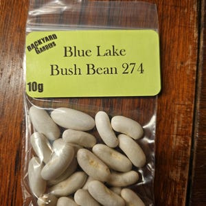 Blue Lake Bush Bean Seeds - Etsy