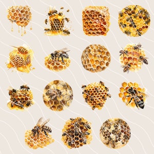 Watercolor Honey Bee SVG Clipart Bundle, Commercial Use, Cute Honeycomb ...
