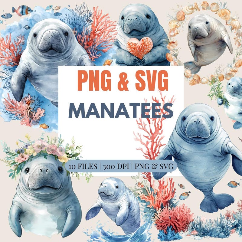 Manatee Svg - Etsy