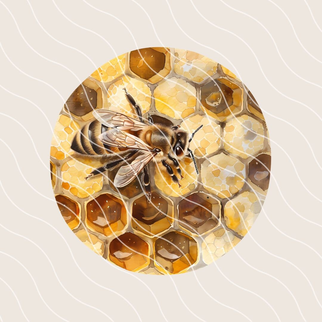 Watercolor Honey Bee SVG Clipart Bundle, Commercial Use, Cute Honeycomb ...