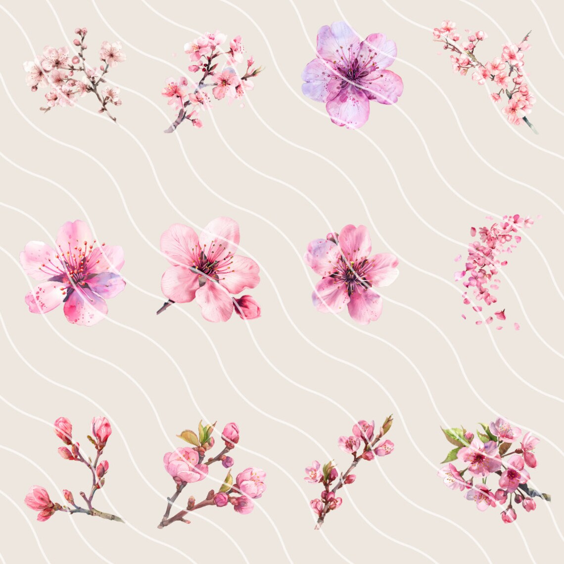 Watercolor Cherry Blossom Clipart SVG & PNG Bundle, Birth Flower SVG ...