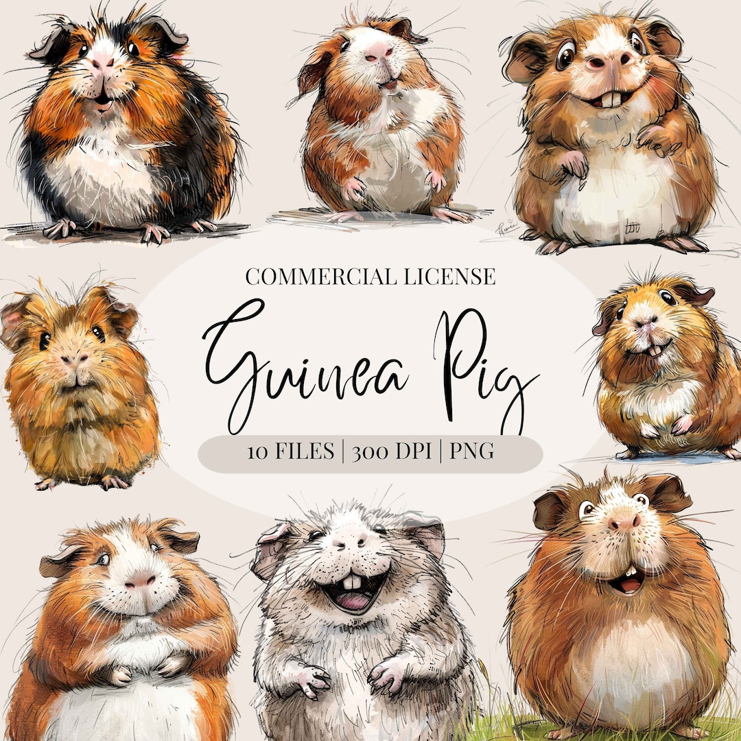 Cavia Clipartbundel, Grappige Afdrukbare Meerschweinen PNG, Cavia PNG ...