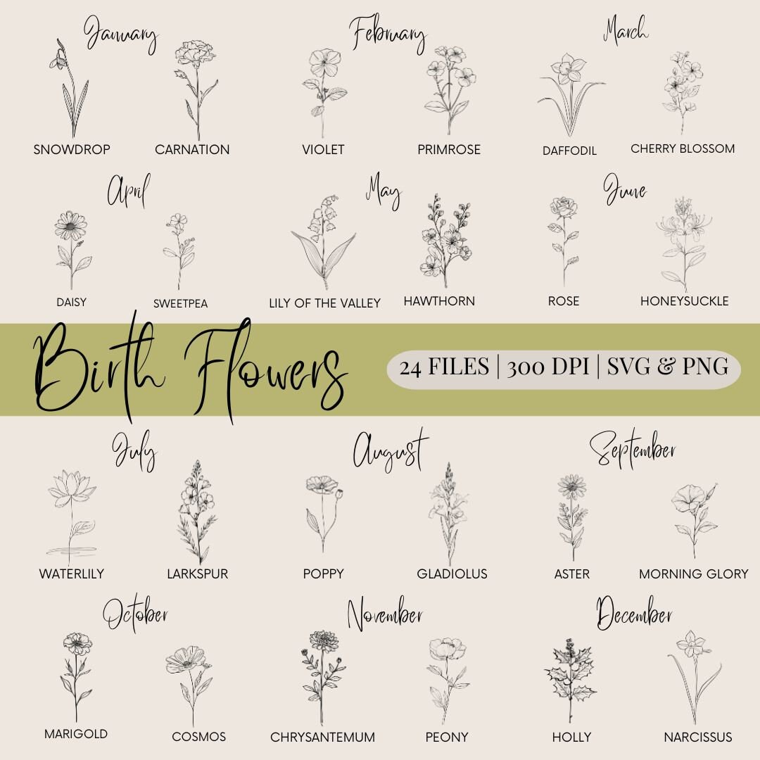 Geboortemaand Bloem SVG, Wilde Bloem SVG, Geboorte Bloemboeket PNG ...