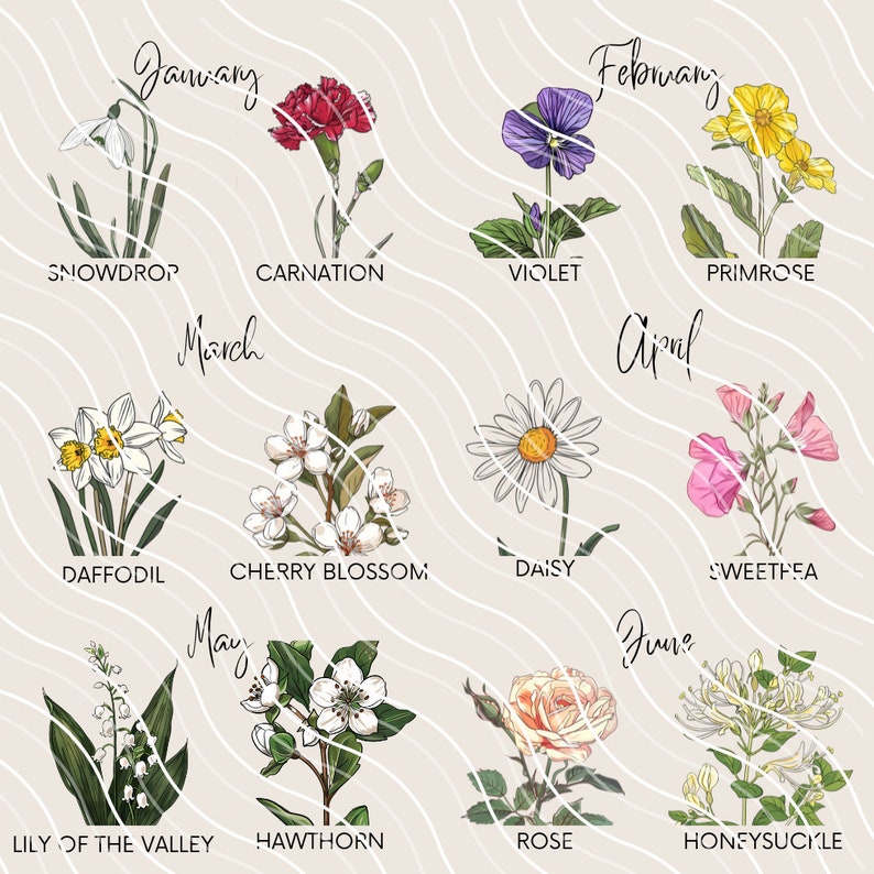 Birth Flower SVG Clipart Bundle, Commercial Use, Birth Month Flower ...