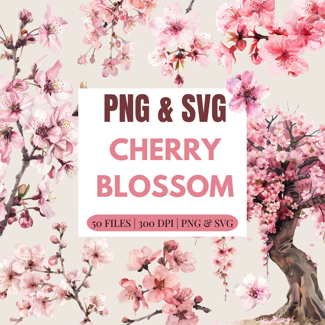 Watercolor Cherry Blossom Clipart SVG & PNG Bundle, Birth Flower SVG ...