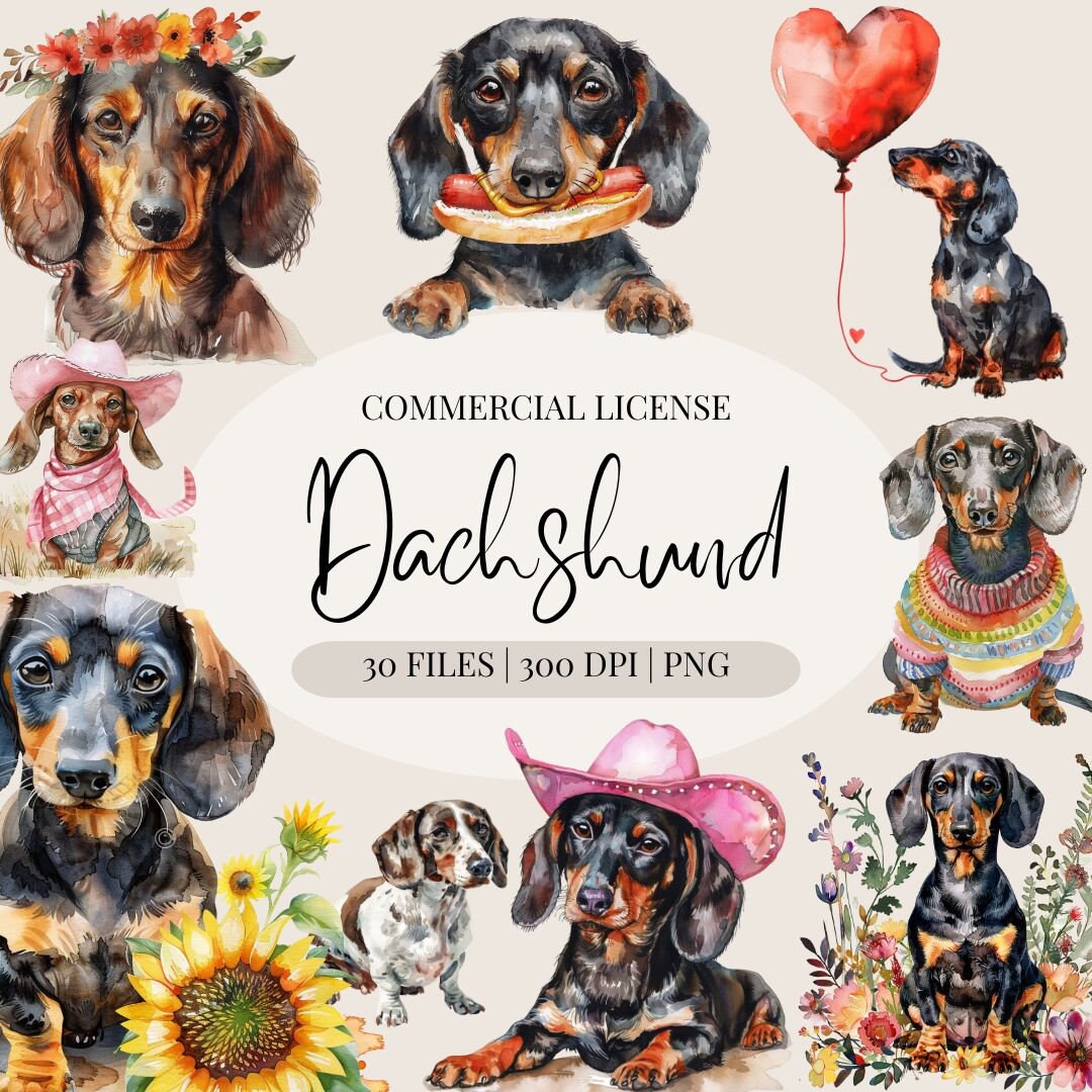 Dachshund Clipart Bundle, Watercolor Clipart PNG, Digital Dachshund ...