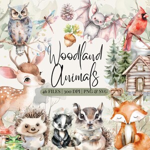 Boho Woodland Clipart, Cute Woodland Animals Clipart, Baby Animals ...