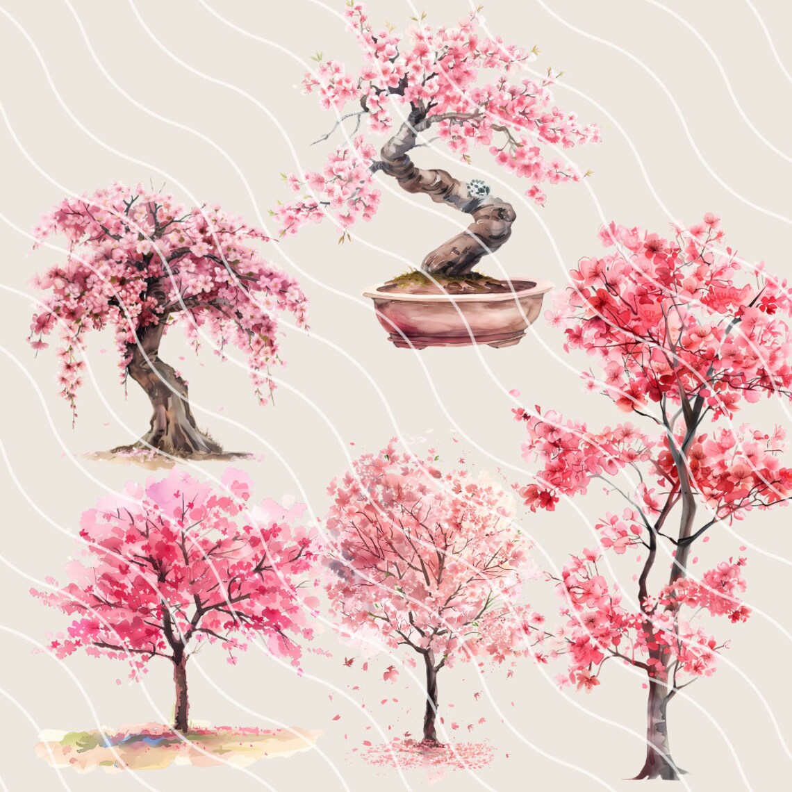 Watercolor Cherry Blossom Clipart SVG & PNG Bundle, Birth Flower SVG ...