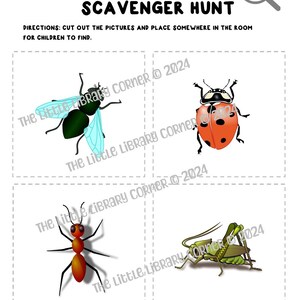 Bugs Scavenger Hunt - Etsy