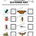 Bugs Scavenger Hunt - Etsy