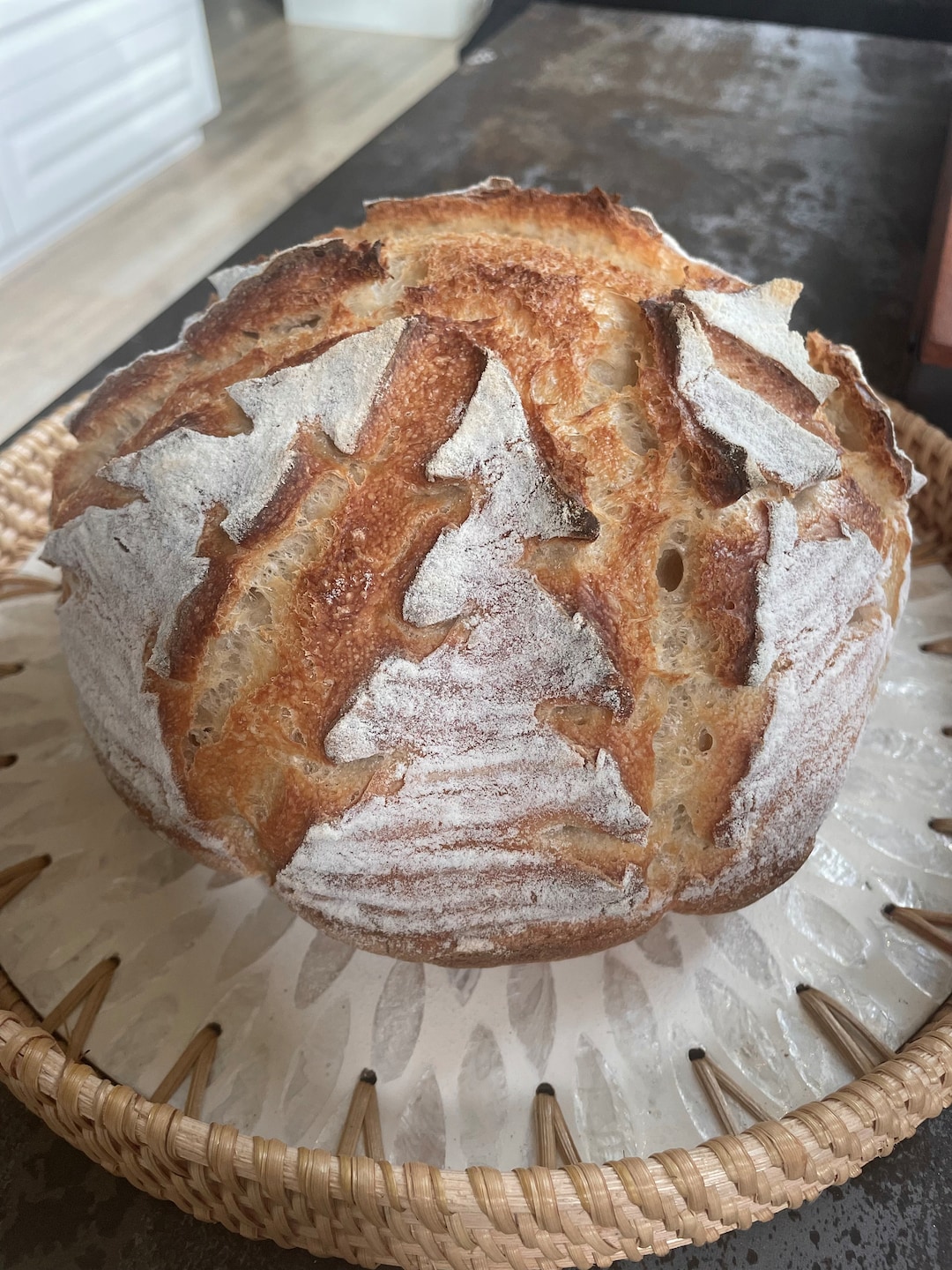 Sourdough Starter - Etsy