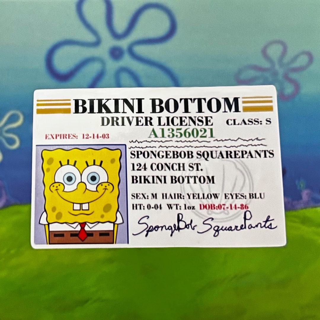 Spongebob Squarepants License Sticker - Etsy