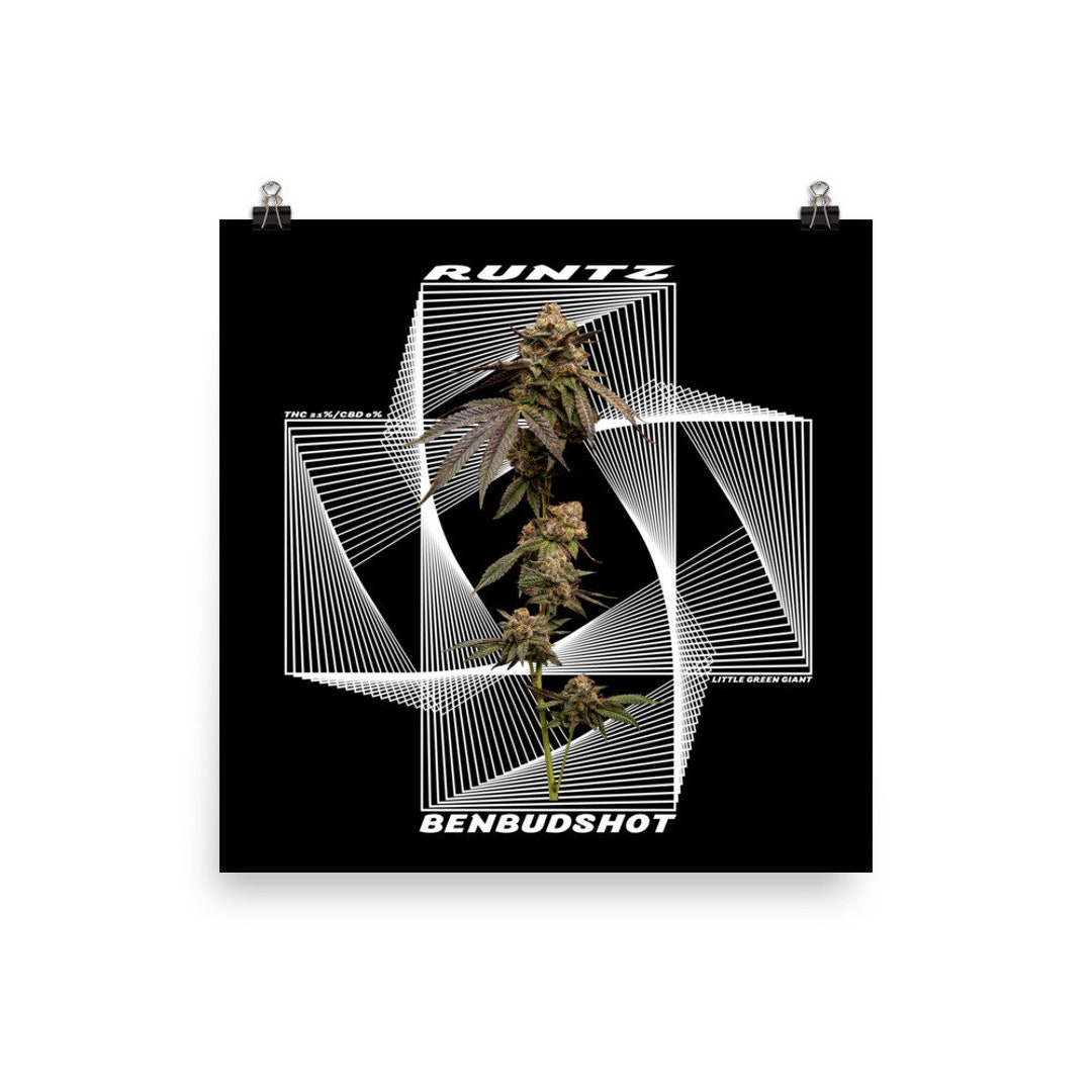 Runtz Live Plant Ben Budshot Poster With Little Green Giant - Etsy