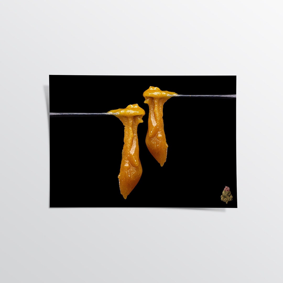 Zkittles Cannabis Extract Drip Photo Paper Poster - Etsy