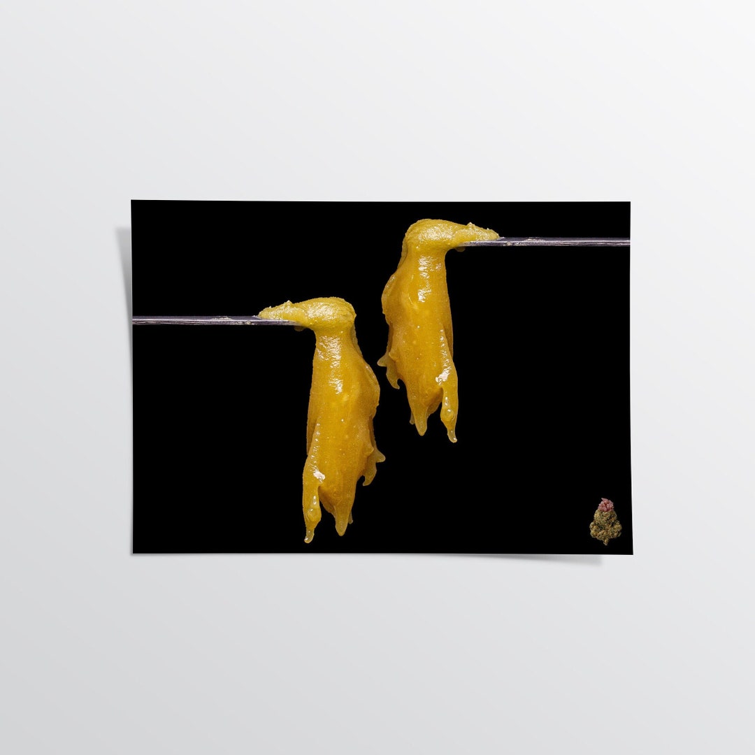 Sour Wilson Hash Rosin Drip Photo Paper Poster - Etsy