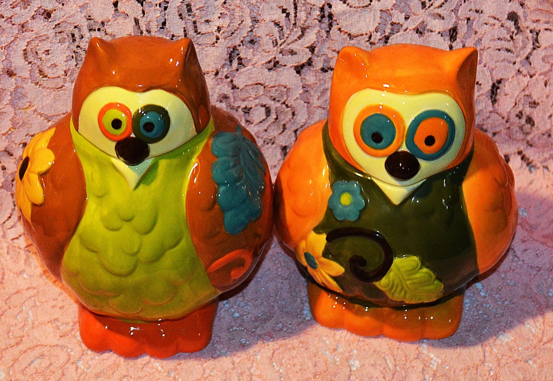 Set of Two Vibrant Colored Owl Storage Jars - Coffee Tea Sugar ...