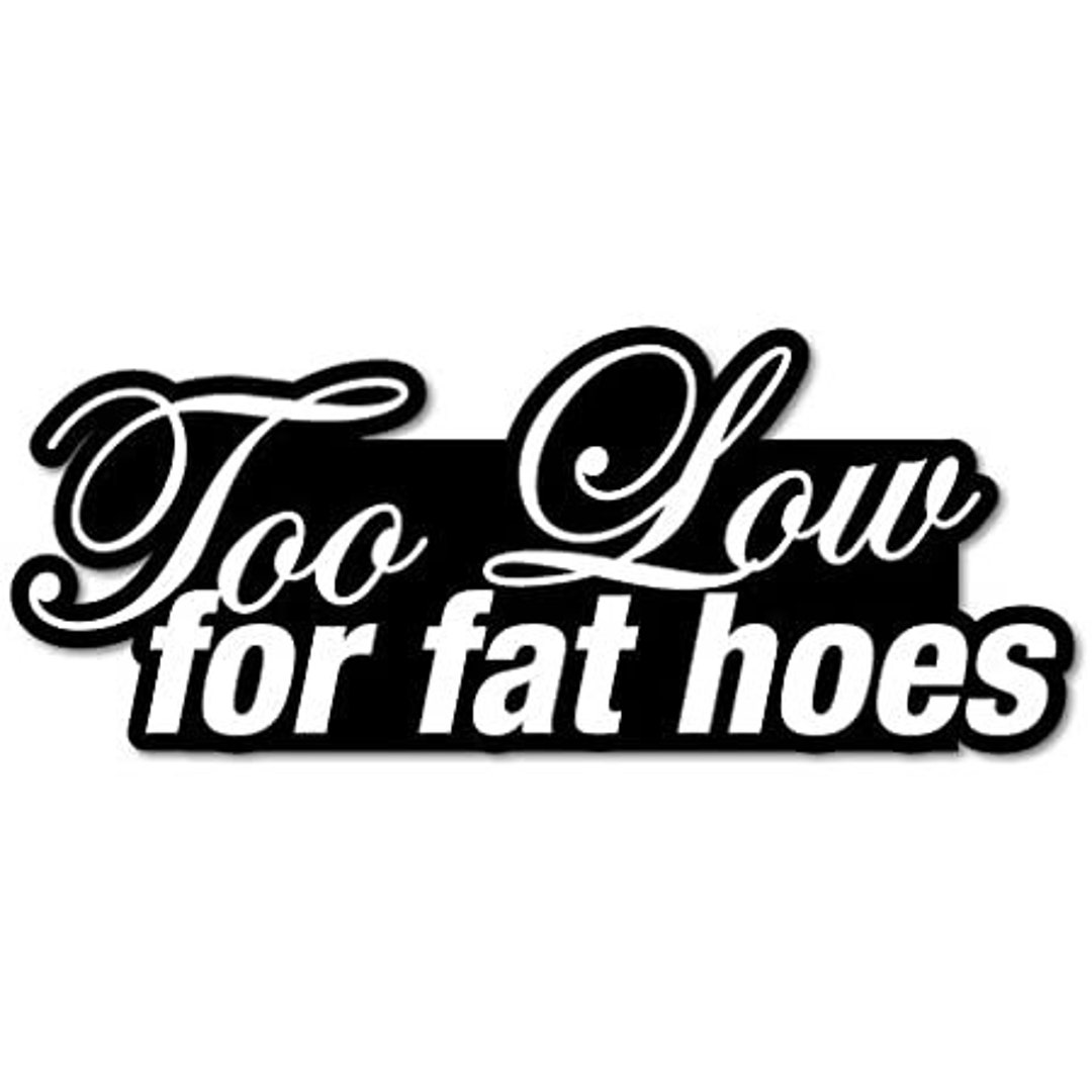 Funny Too Low for Fat Hoes Lowrider Vinyl Decal - Etsy
