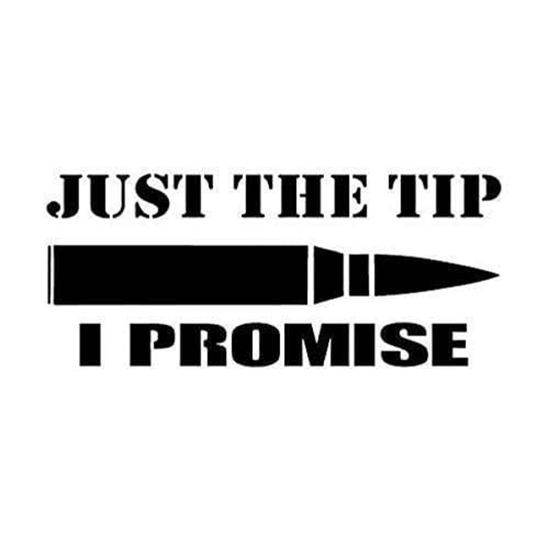 Funny Just the Tip I Promise Vinyl Decal - Etsy