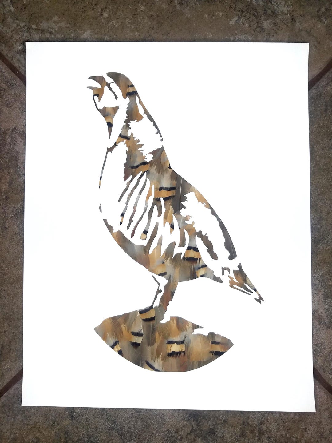Chukar Artwork, Original Feather Art, Partridge Hunting, Nature ...