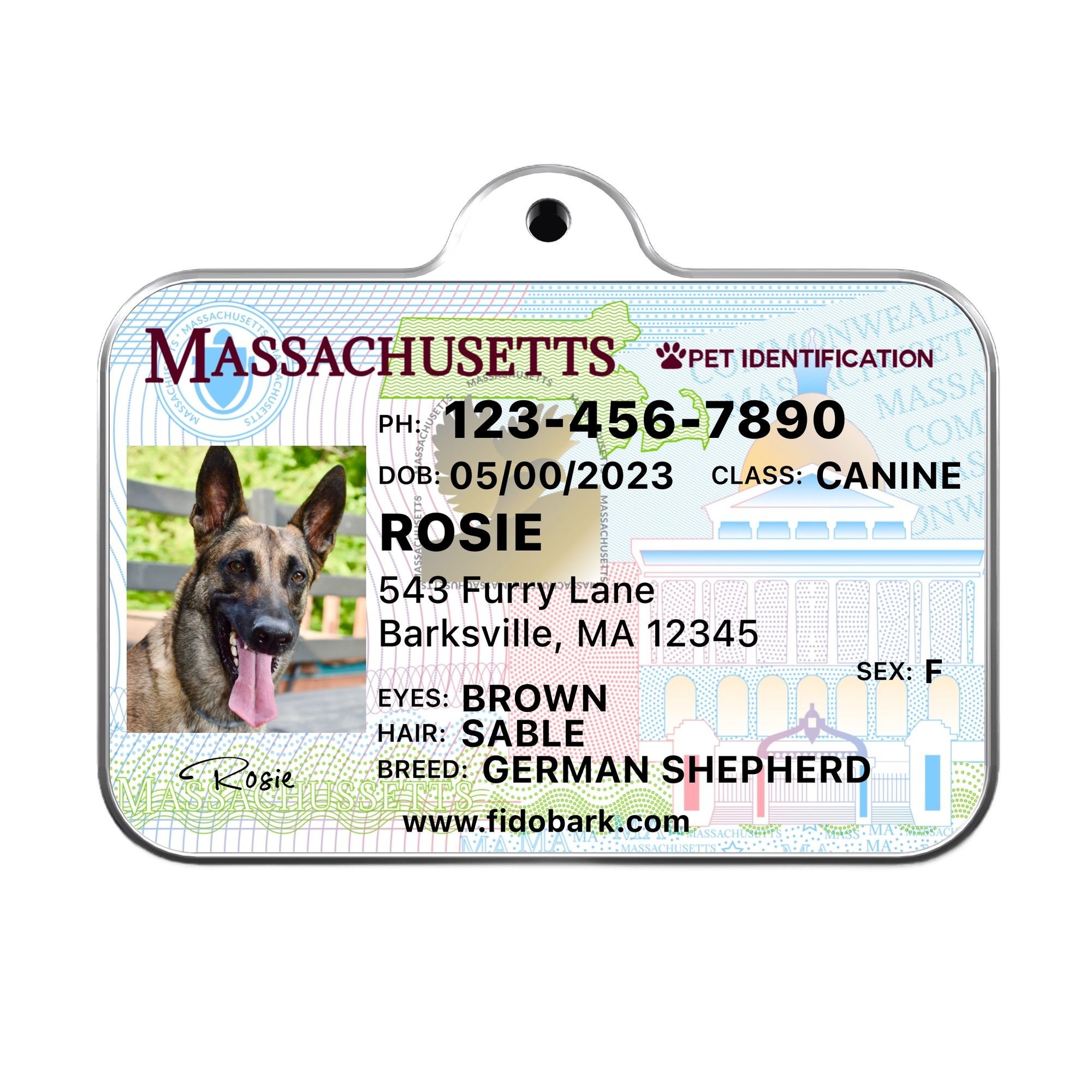 Dog License Tag ID Personalized Pet Driver License Id Dog State ID ...