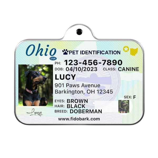 Ohio State Dog - Etsy