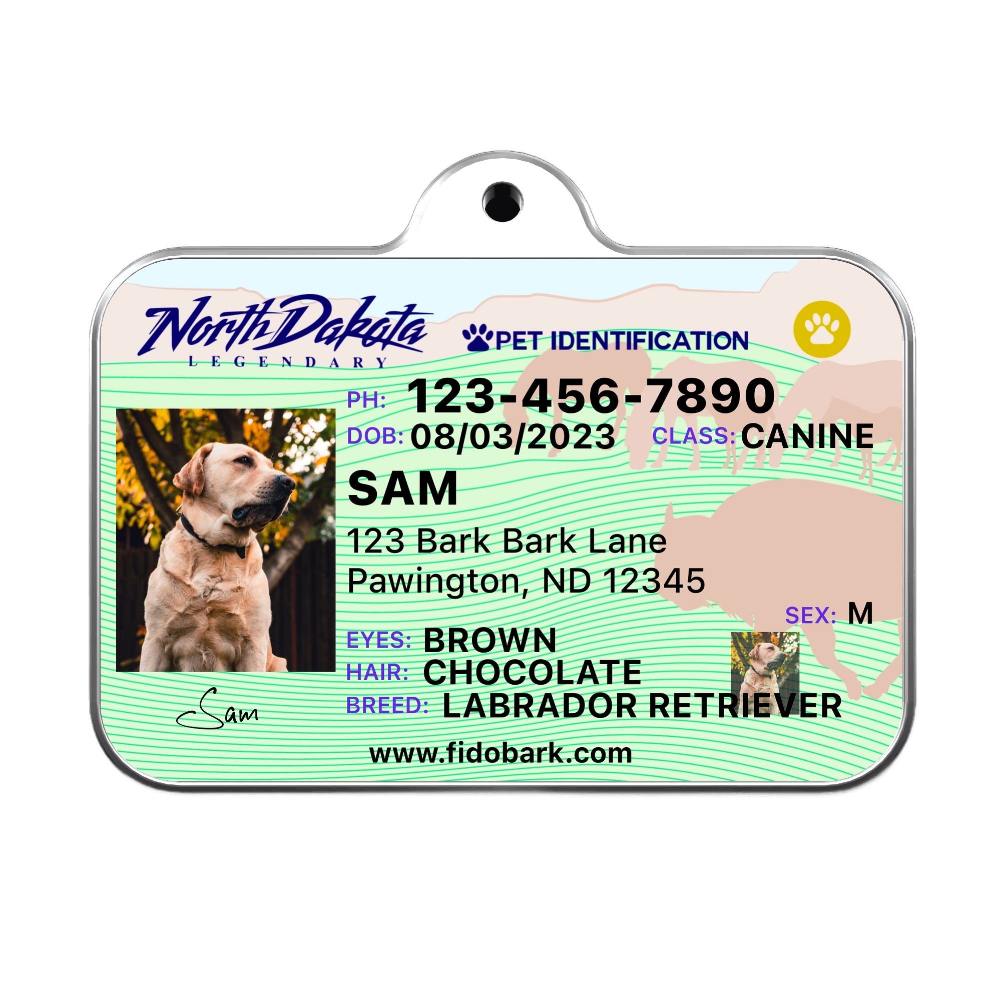 Dog License Tag ID Personalized Pet Driver License Id Dog State ID ...