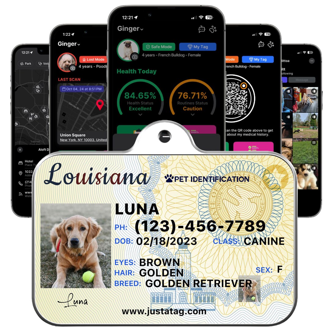 Louisiana Dog ID Tag Custom Personalized Pet Drivers License Unique Dog ...