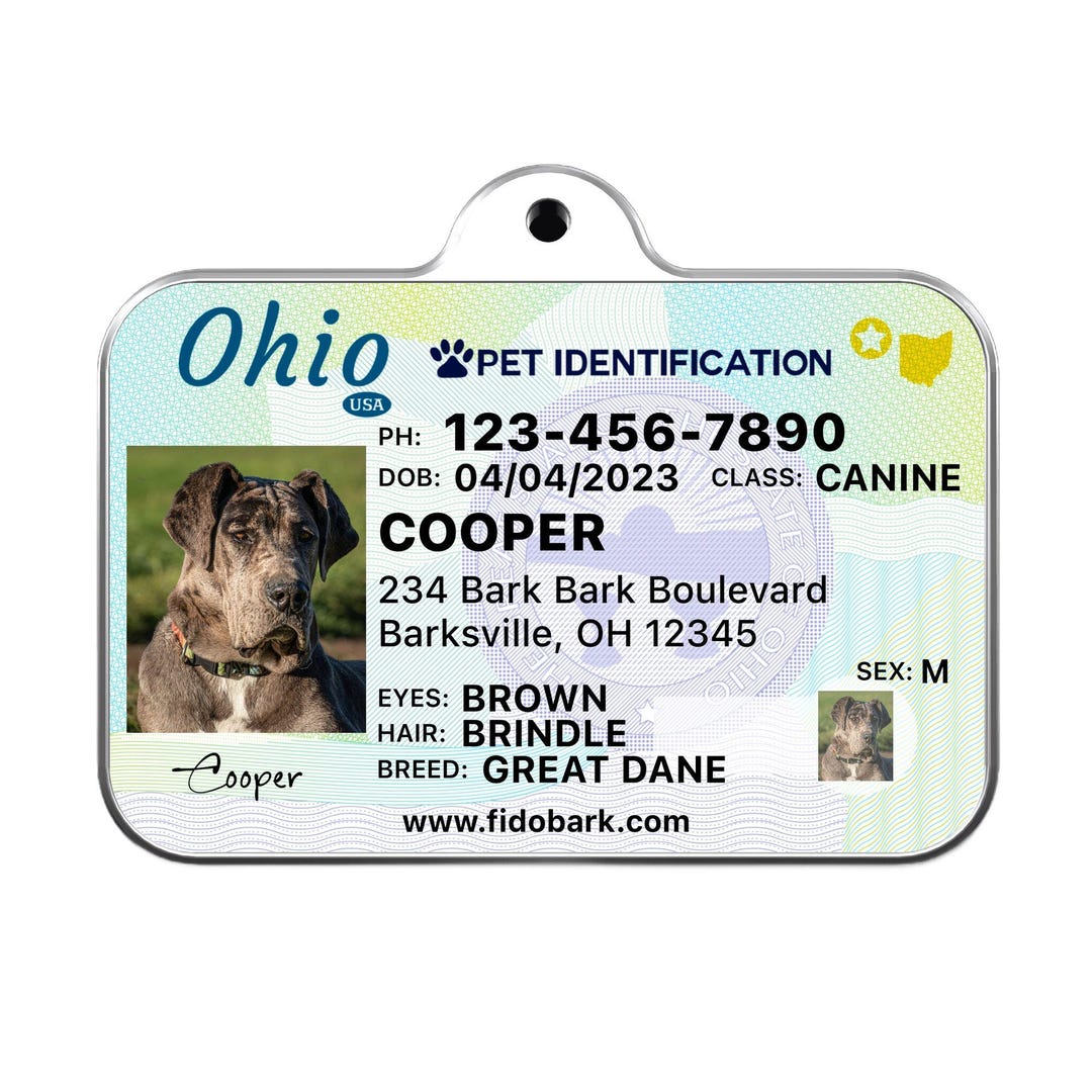 Design Your Own Ohio Pet ID Tag | Dog Tag | Cute Pet ID | Driver ...