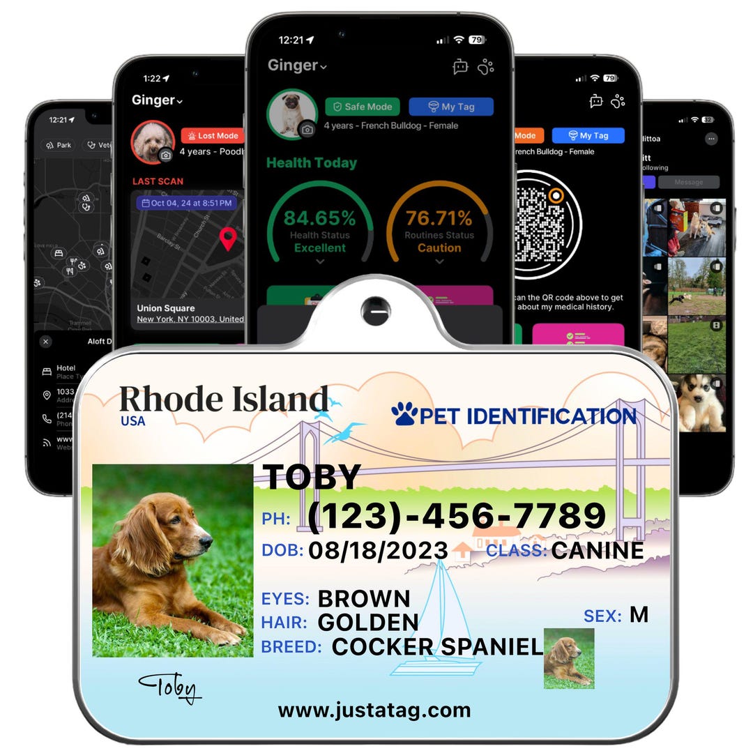 Rhode Island Dog ID Tag Custom Personalized Pet Drivers License Unique ...
