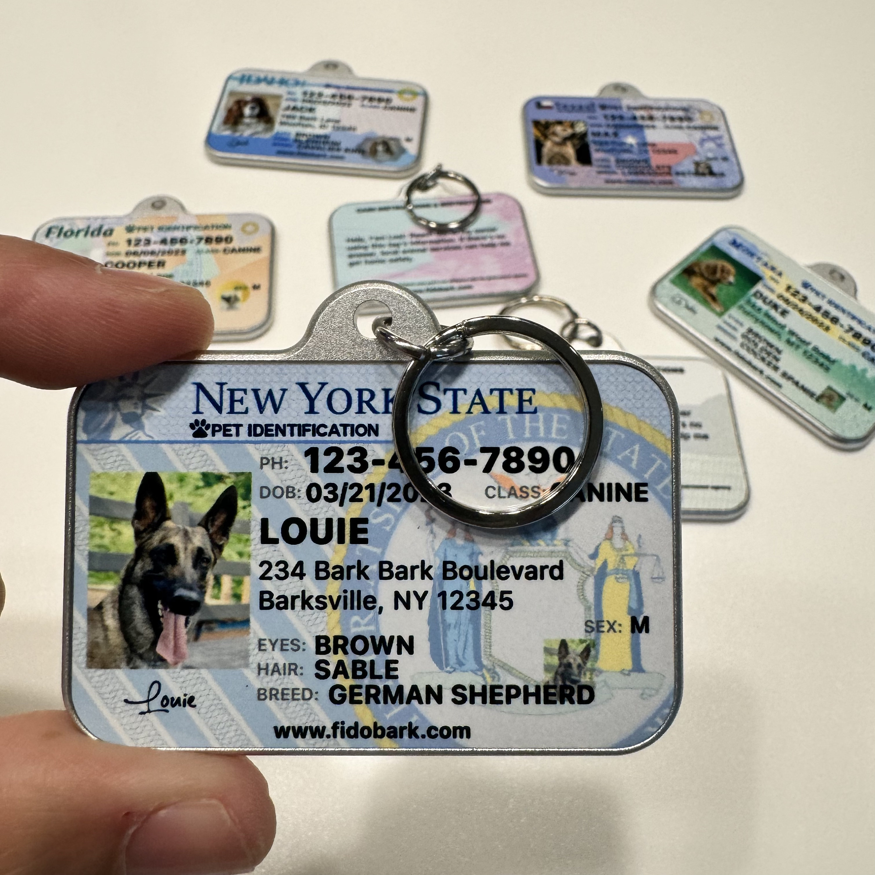 Dog License Tag ID Personalized Pet Driver License Id Dog State ID ...
