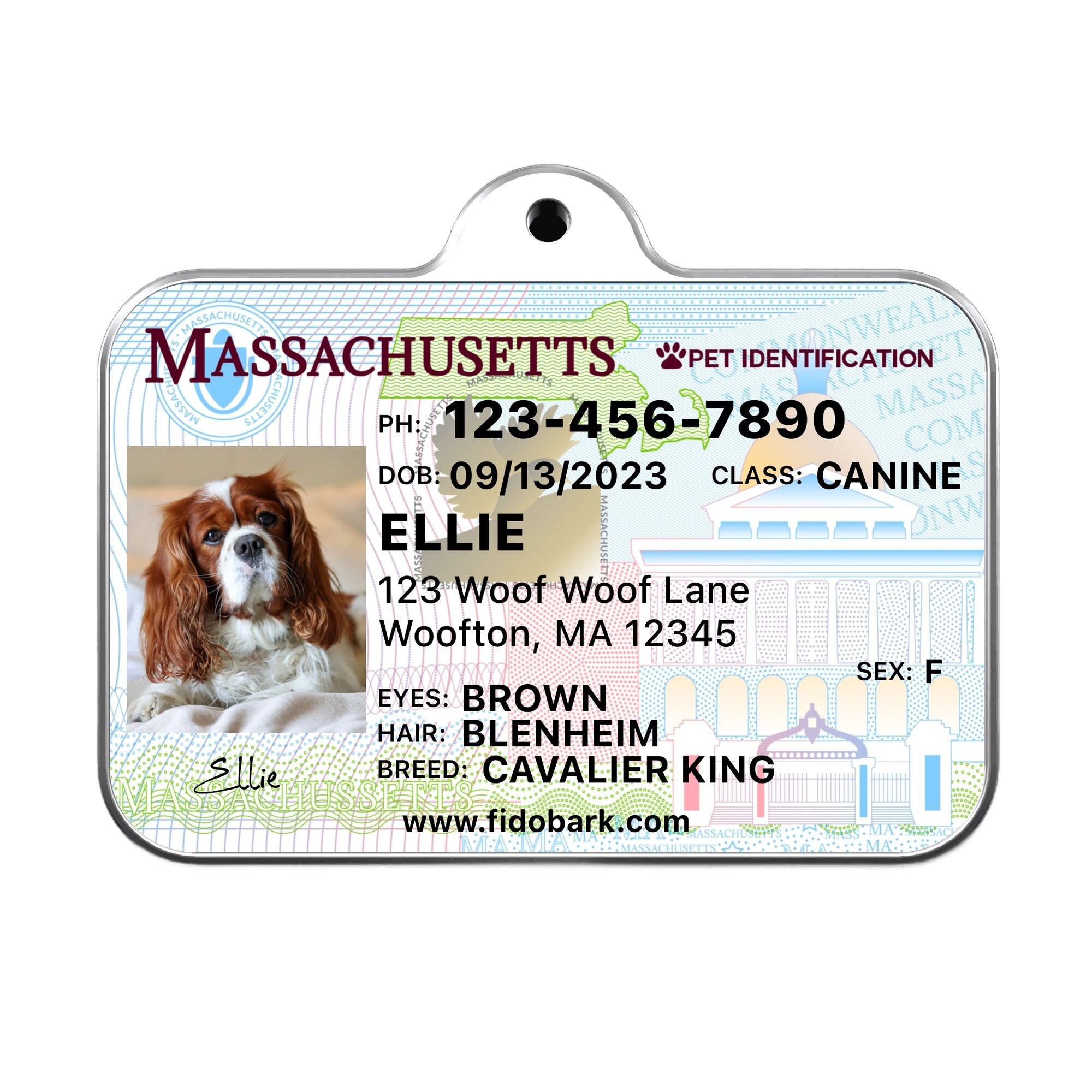 Dog License Tag ID Personalized Pet Driver License Id Dog State ID ...