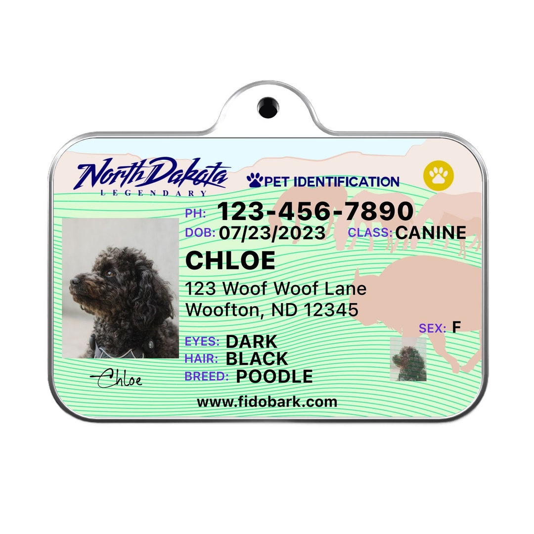 Dog License Tag ID Personalized Pet Driver License Id Dog State ID ...