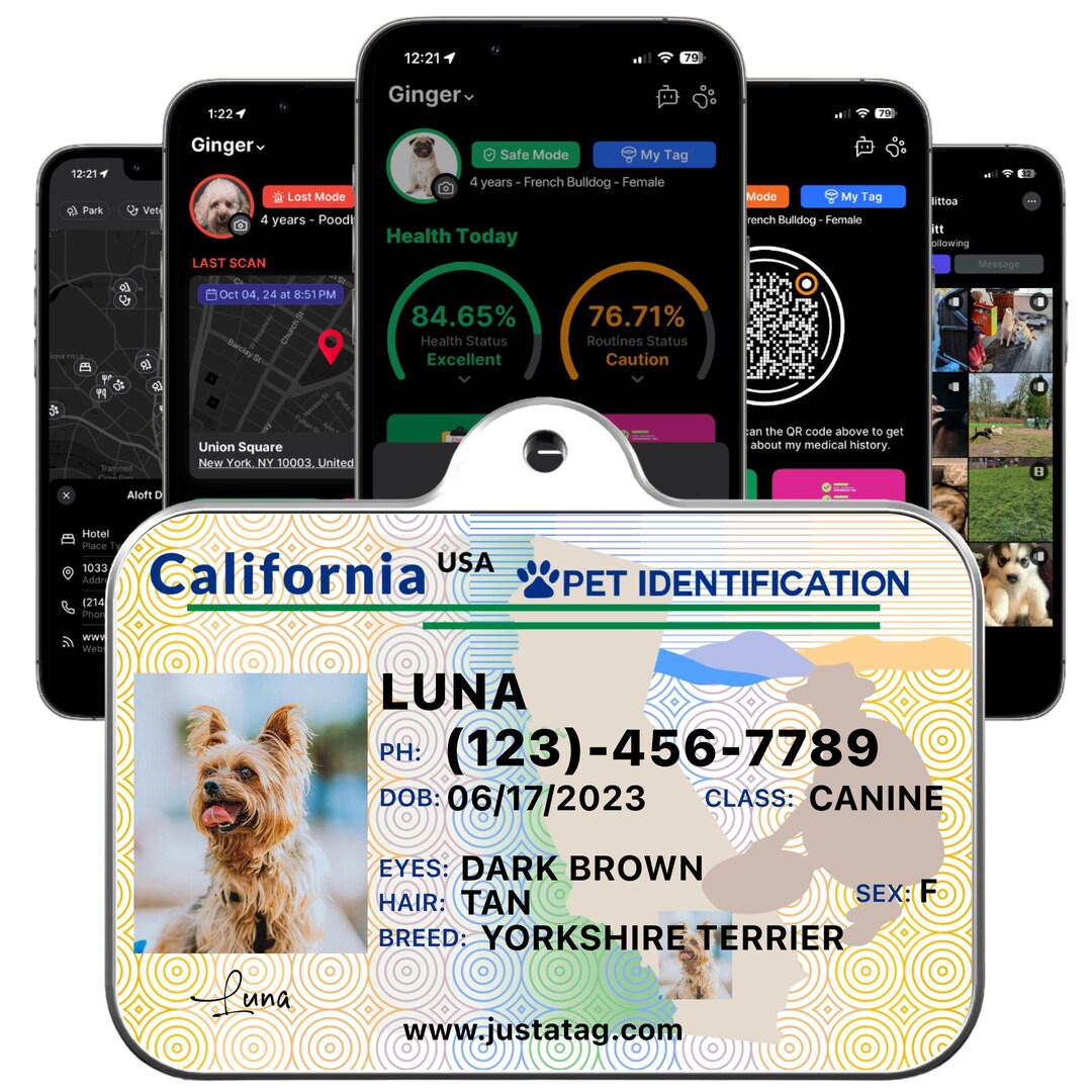 California Dog ID Tag Custom Personalized Pet Drivers License Unique ...