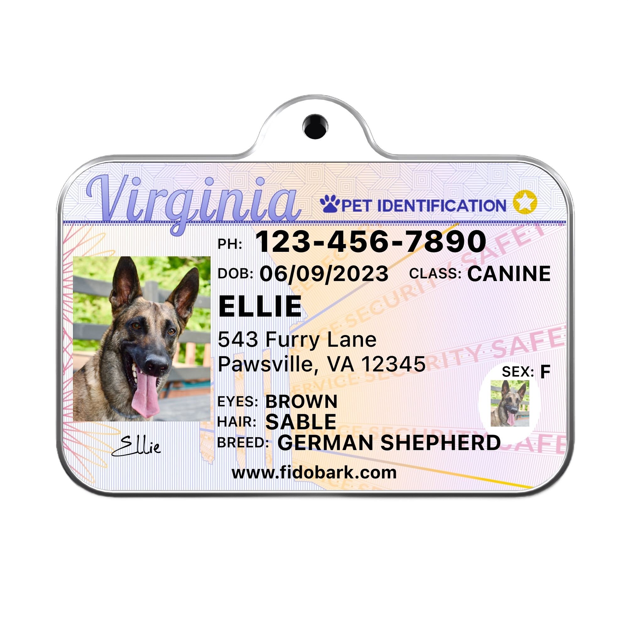 Dog License Tag ID Personalized Pet Driver License Id Dog State ID ...