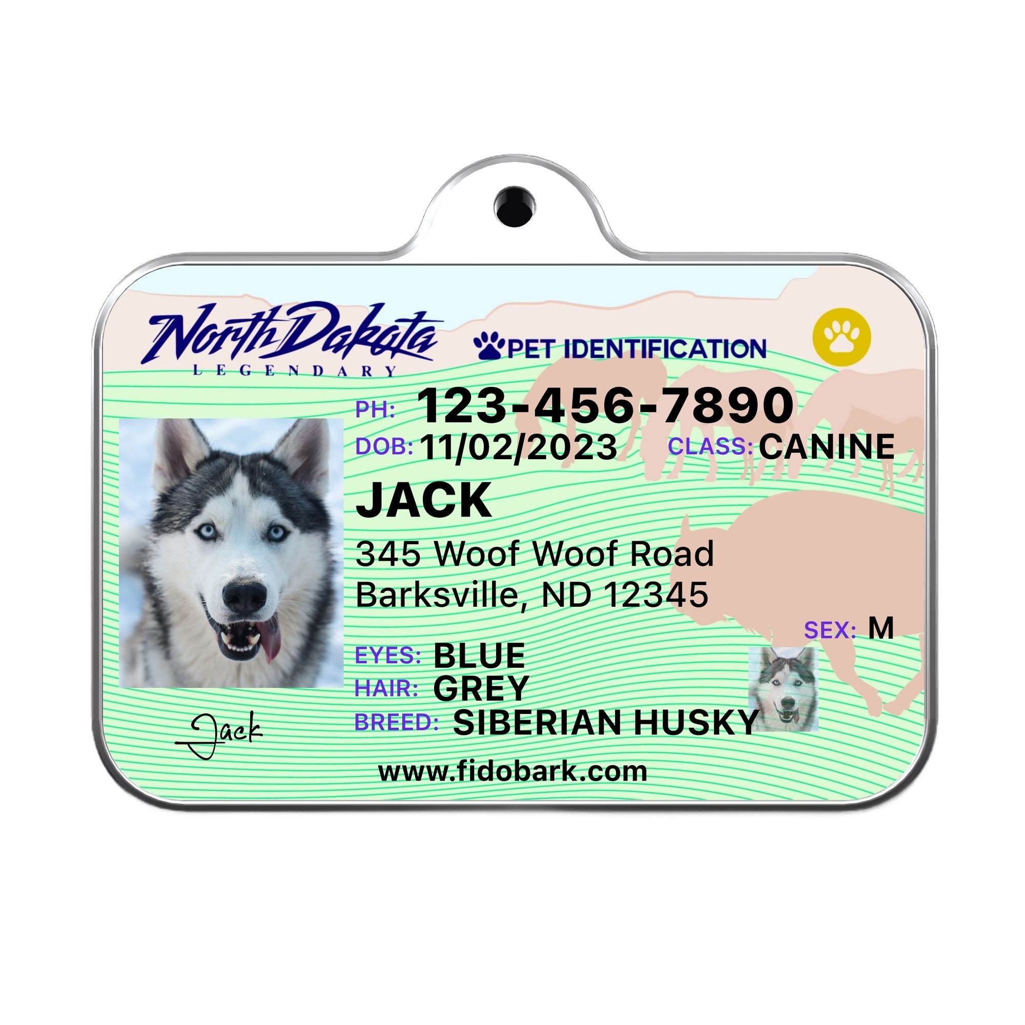 Dog License Tag ID Personalized Pet Driver License Id Dog State ID ...