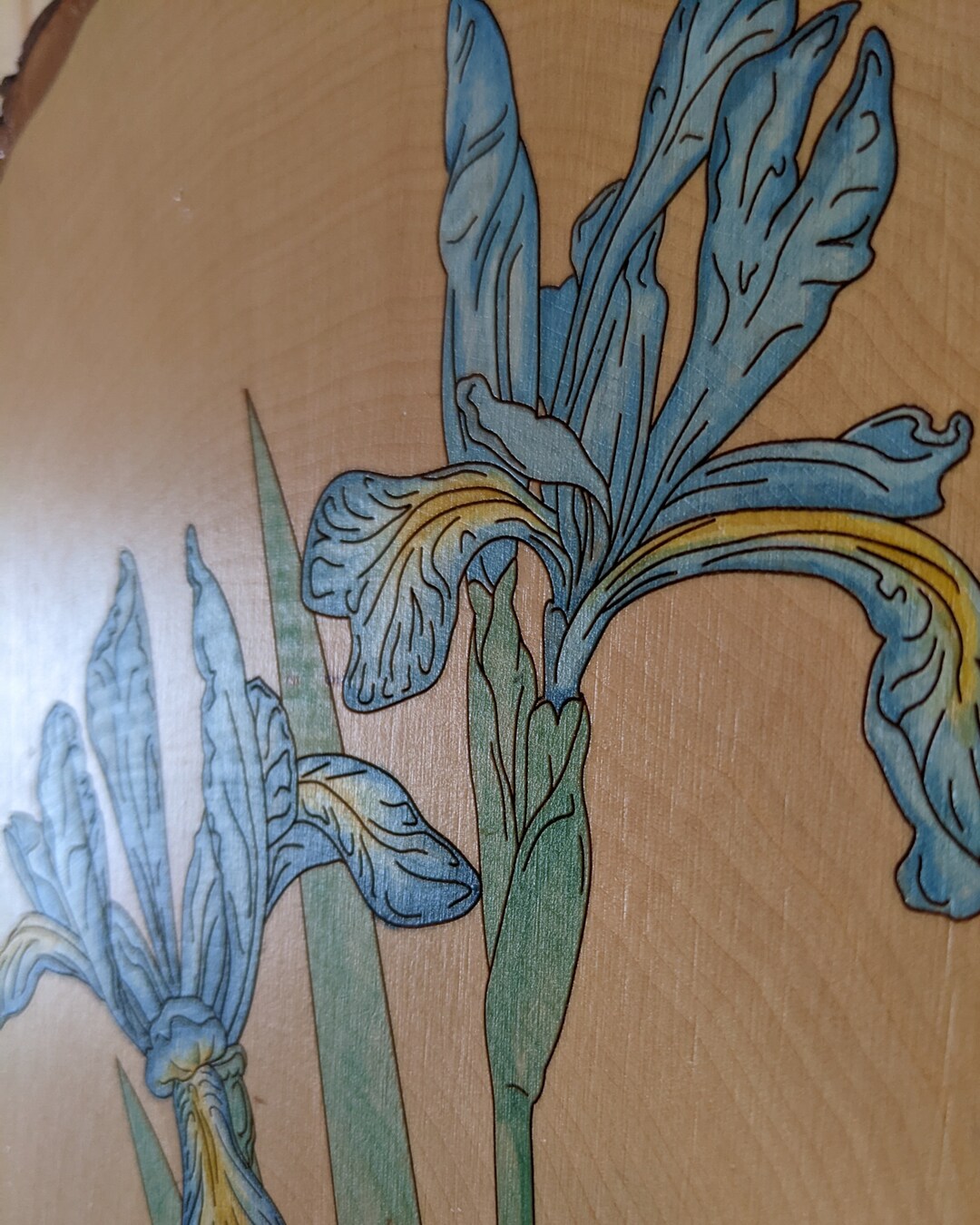 Wall Hanging Mountain Iris Hand-painted Laser Design Wood Round 9-11 ...