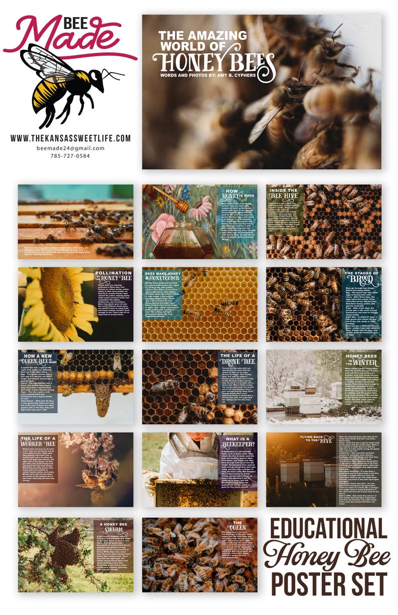 Honey Bee Educational Posters - DIGITAL PRINTS - Etsy
