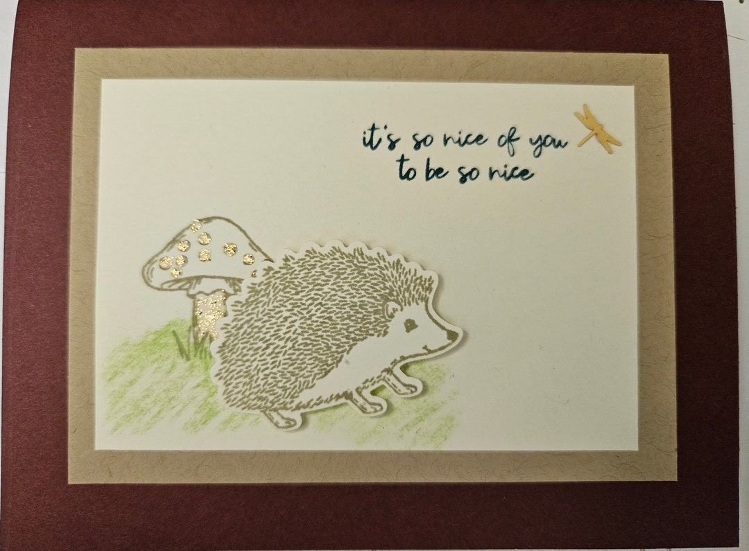 Stampin up Card Kit Procupine nice of You - Etsy