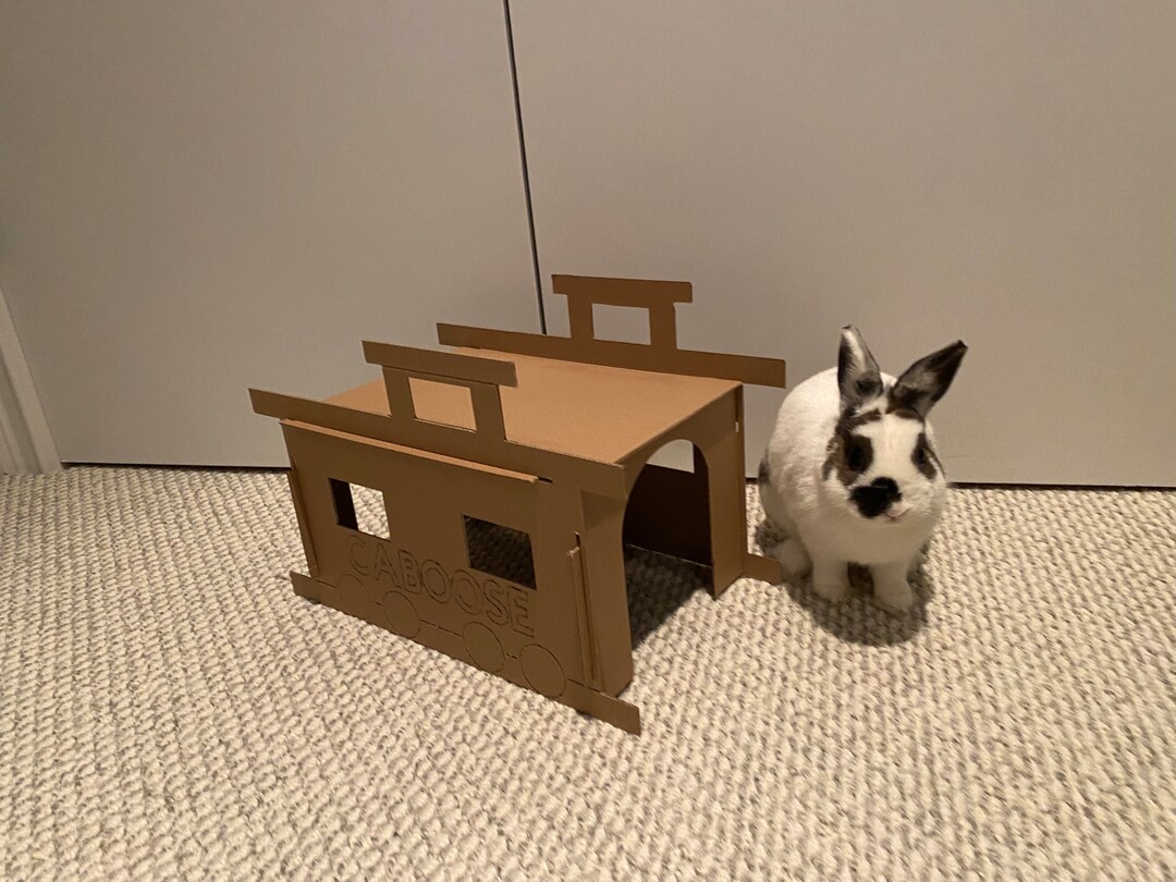 Train Caboose Cardboard Tunnel for Rabbits, Hamsters, and Other Small ...