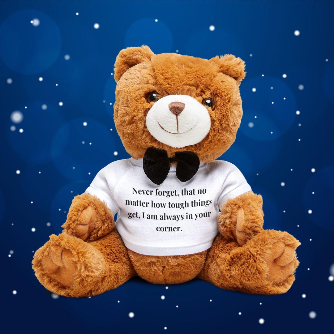 Teddy Bear Plush, Encouraging Never Forget T-shirt, Stuffed Animal Gift ...