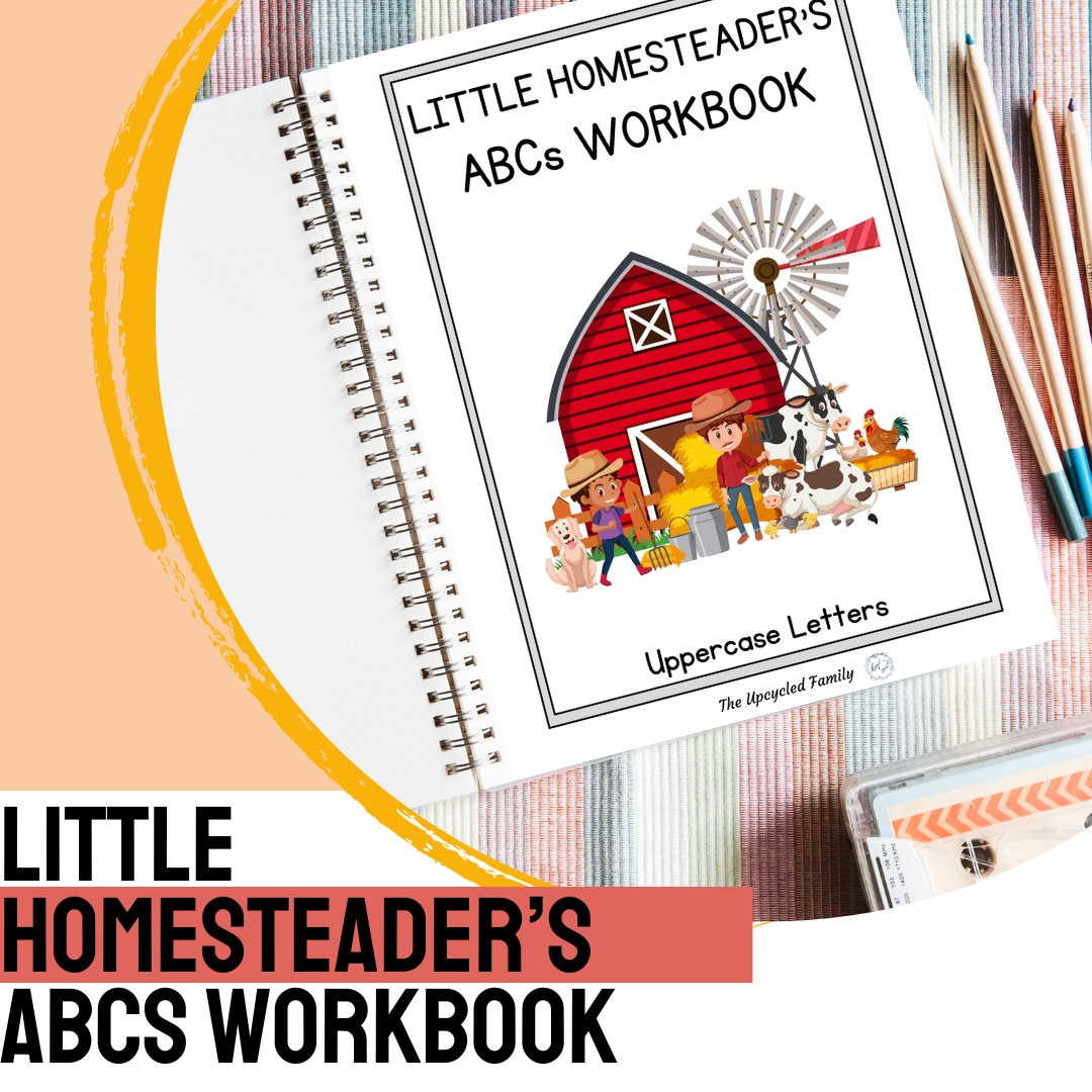 Little Homesteader's ABC Workbook - Etsy