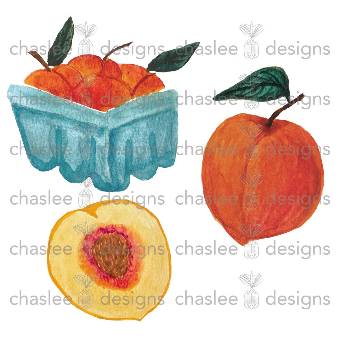 Peaches Watercolor Clipart Fruit- Digital Download - Etsy