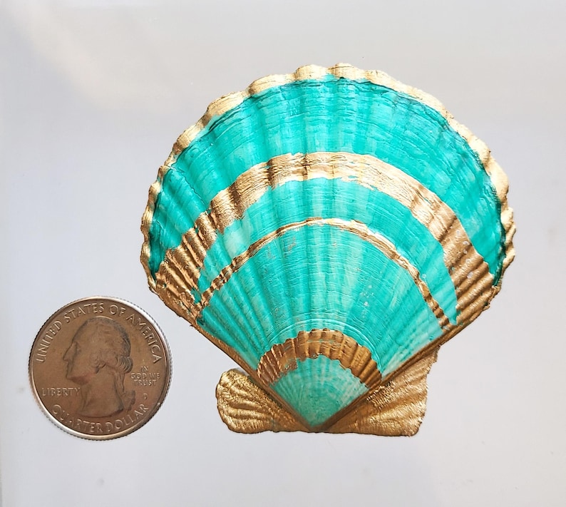 Natural Hand Painted Scallop Shell for Beach Decor, Crafts - Etsy