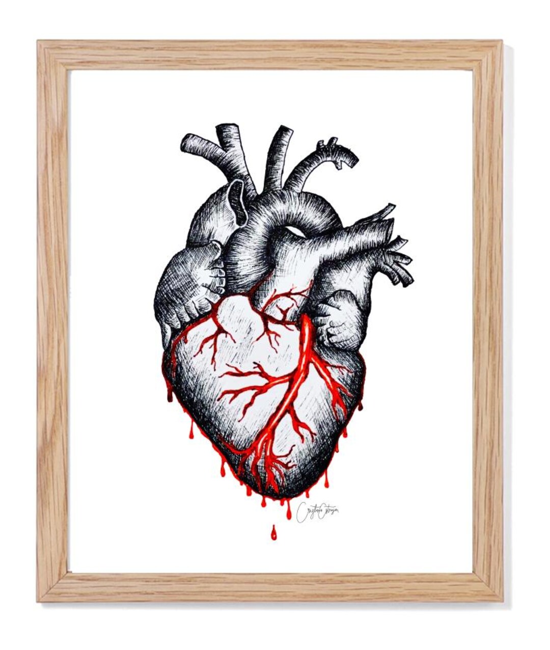 Bleeding Heart Drawing, Pen and Ink Print, Hand-drawn Drawing - Etsy