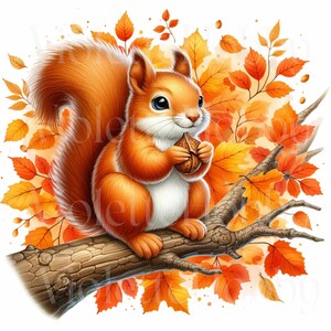 Autumn Animals PNG Images Collection - Digital Download Fall Themed ...