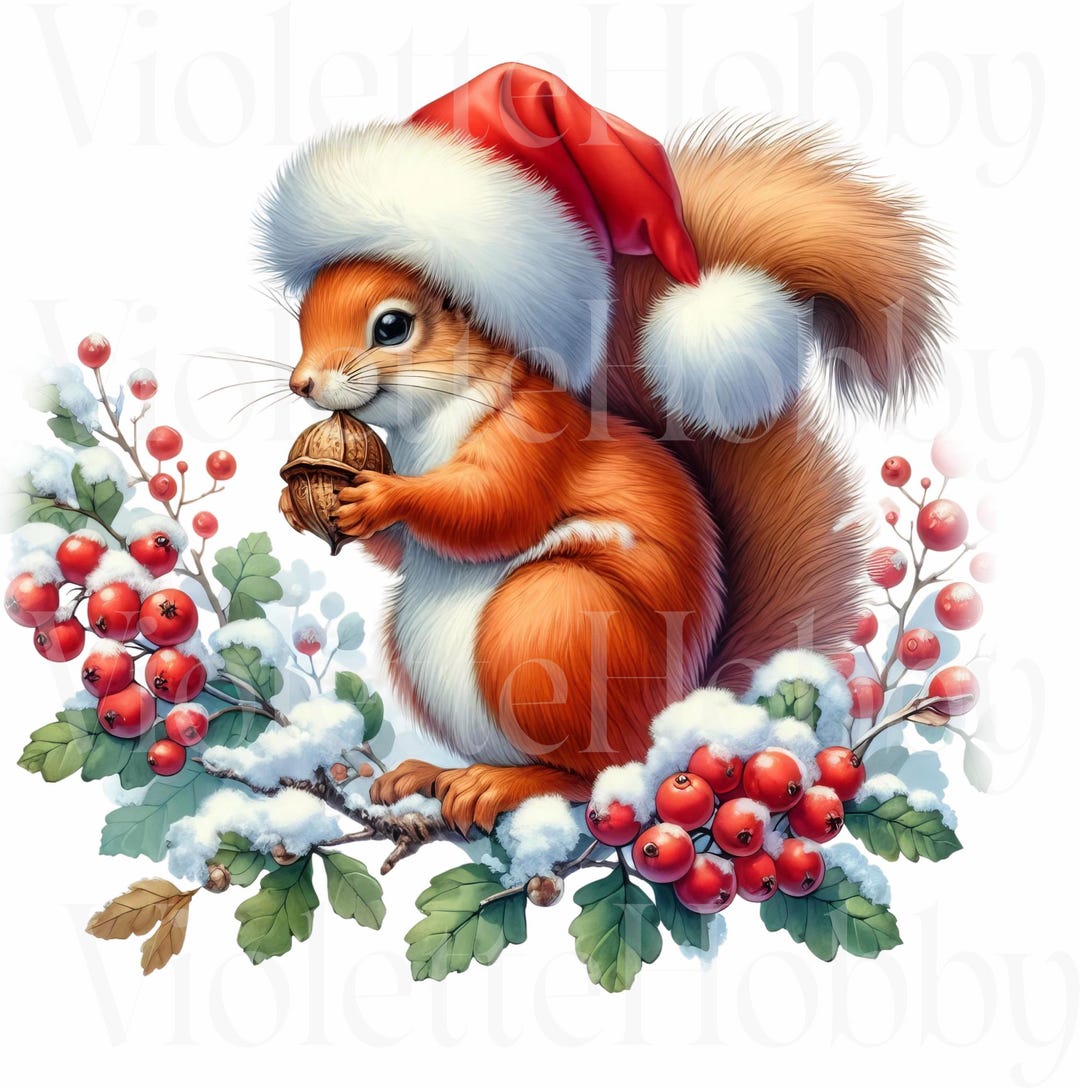Christmas Squirrel PNG Clipart Set | Holiday Squirrels in Santa Hats ...